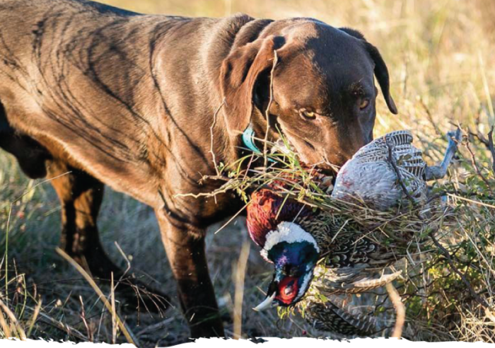 Hunting Parties - Pierce Ranch House
