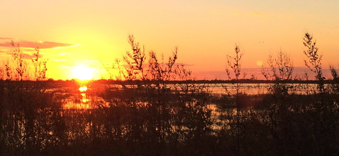 Home - Pierce Ranch House