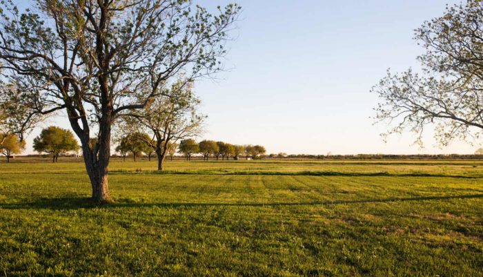 Facilities - Pierce Ranch House