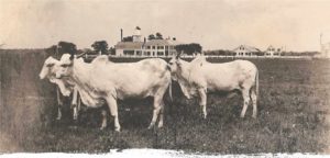 Our History - Pierce Ranch House