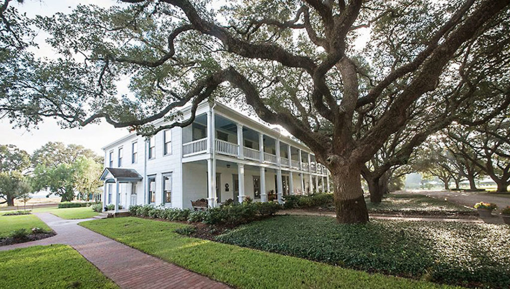 Hunt Texas | Hunting Parties | Corporate Events