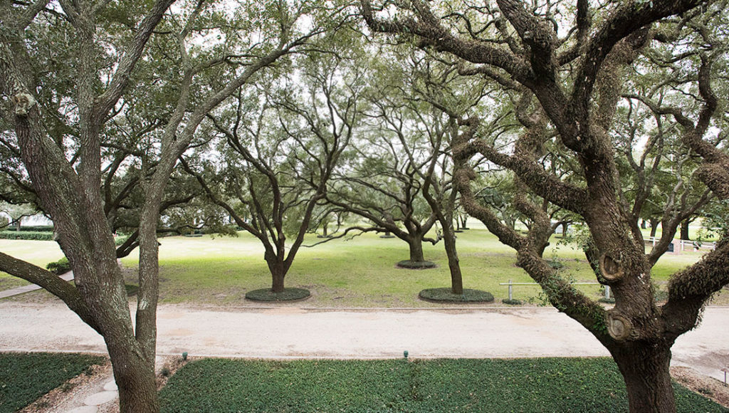 Hunt Texas | Hunting Parties | Corporate Events